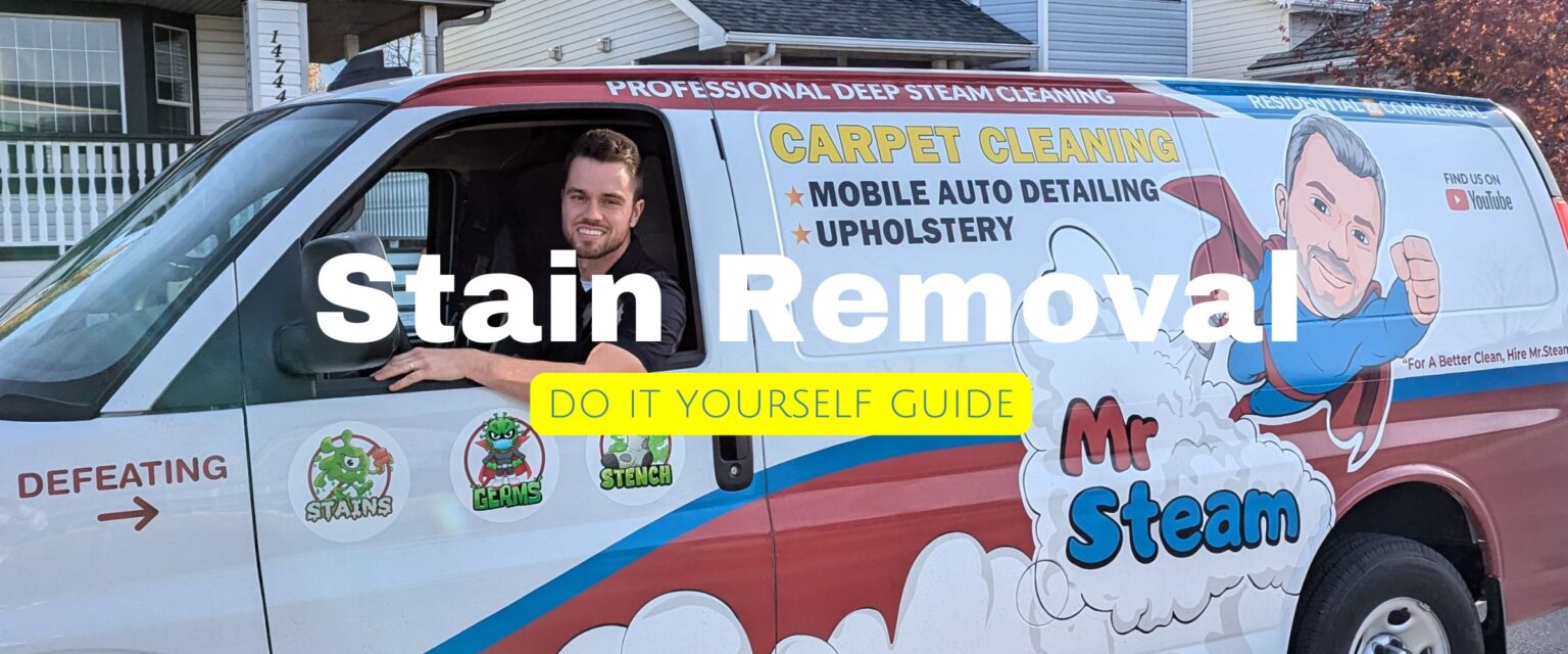 Stain Removal DIY Guide - Mr. Steam™